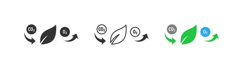 Carbon Dioxide To Oxygen Conversion Process With Leaves CO To O Eco Environment Line Flat
