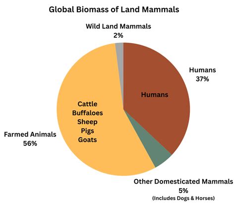 Farmed Animal Biomass And Biodiversity Inside Animal Ag