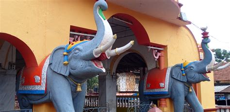Elephant For Home Vastu A Symbol Of Wisdom And Protection