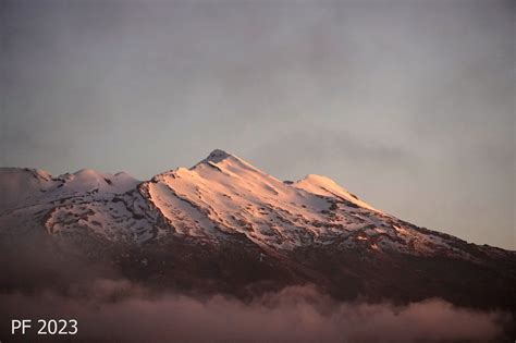 David Roesel Osobní Webové Stránky