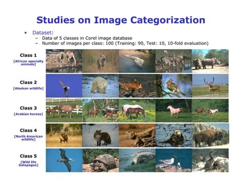 multiple kernel learning based approach to representation and feature