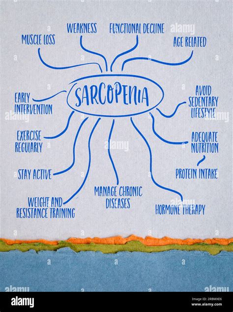 Sarcopenia Muscle Loss With Age And Ways Of Its Prevention