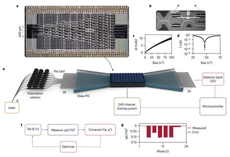 Quantum Transport Simulations In A Programmable Nanophotonic Processor