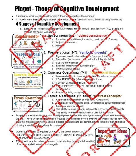 Nce Study Helper Human Growth And Development Piagets Theory Of