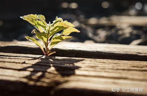 大家相信有霉运缠身的人和好运连连的人吗？你是哪一种？ 知乎