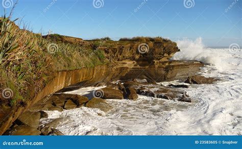 Influx Tasman Sea New Zealand Stock Image Image Of Mimosa Fresh