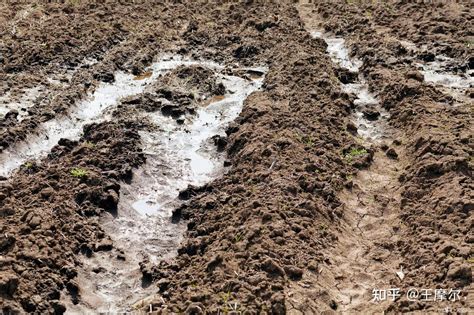 土壤污染的危害和治理 知乎