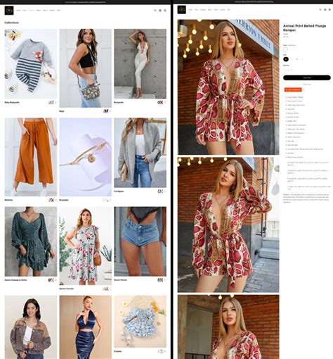 Shopify Development Work Portfolio Synapseindia