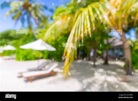 Summer Exotic Sandy Beach With Blur Palms And Sea On Background Stock