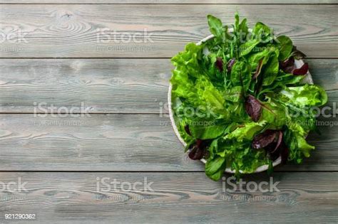 나무 배경에 한 접시에 신선한 양상추 Arugula 시금치와 사탕 무 우 콩나물의 잎 상위 뷰 0명에 대한 스톡 사진 및 기타