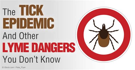 Lyme Disease On The Rise As Tick Epidemic Spreads Across The Us