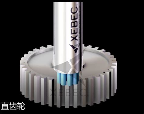 自动化直齿轮去毛刺 陶瓷纤维研磨刷 锐必克XEBEC