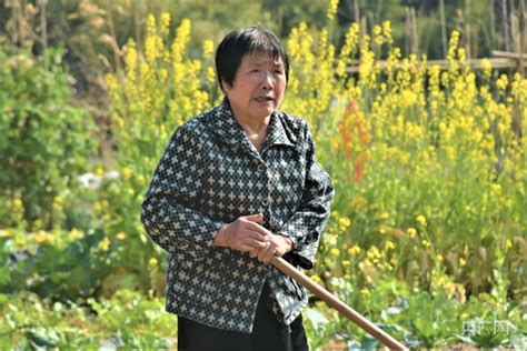 福建永泰人勤春来早 田间农事忙 福州要闻 新闻频道 福州新闻网