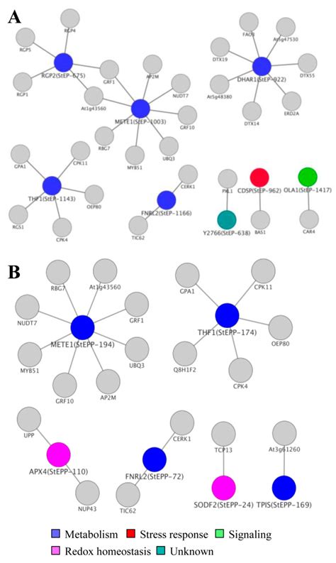 Proteomes Special Issue Sub Cellular Proteomics