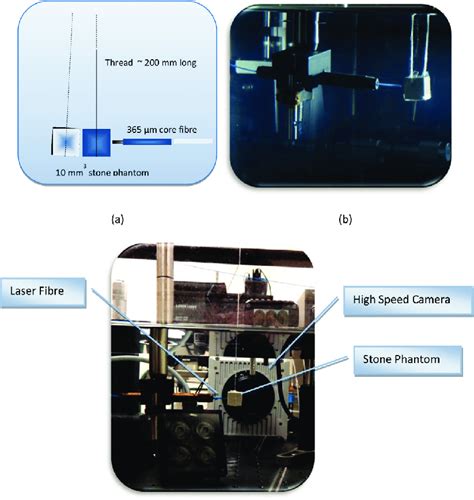 Schematic Picture Of The Pendulum Setup A Schematic B Picture Of