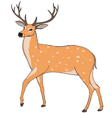 Олень картинка для детей