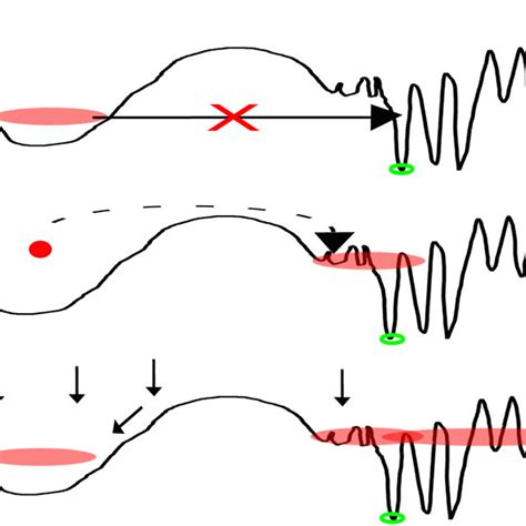 Schematic Representation Of A Single Annealing Cycle To Perform A Local
