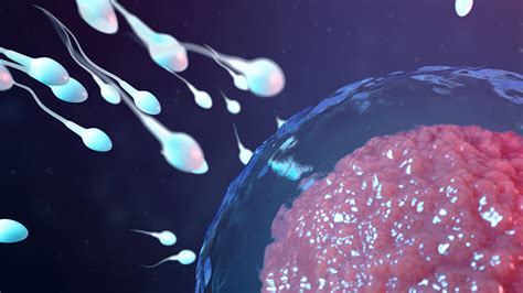 Biologie De La Reproduction Labobio24