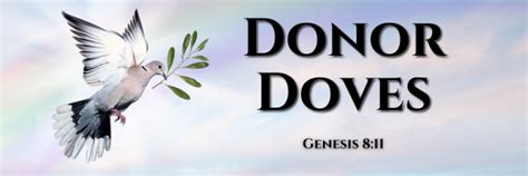 Donor Doves The Timothy Group