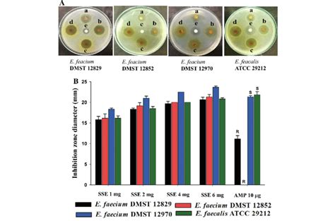 Disc Diffusion Assay A And Inhibition Zone Diameter B Of S