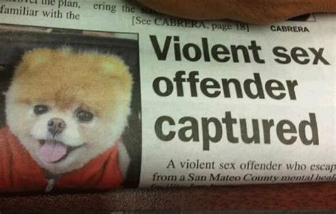 Headline Fails That Make The News Worth Reading
