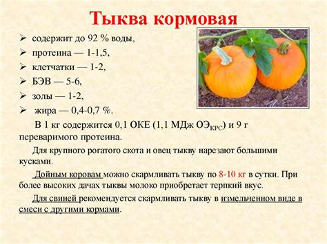 Кормовые корнеплодные клубнеплодные и бахчевые культуры презентация