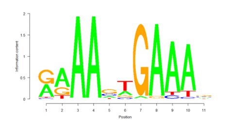 Transcription Factor Binding Site Analysis