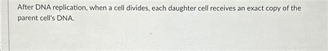 Solved After DNA Replication When A Cell Divides Each Chegg Com