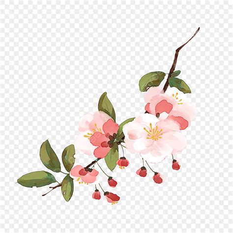 Bouquet Illustration Png Picture Spring Flower Bouquet Illustration