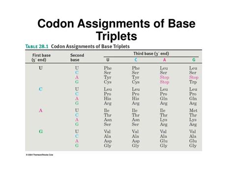 Ppt Chapter 28 Biomolecules Heterocycles And Nucleic Acids