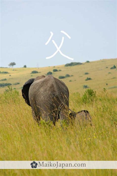 父 Handwritten Kanji For Father And Its Readings Radical And Usage Maiko Japan Word Usage