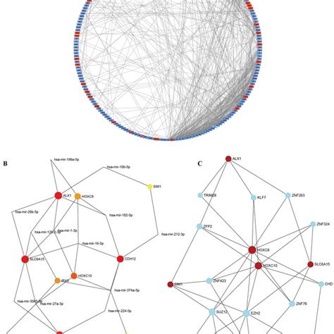 Boxplot Showing The Median Upper And Lower Quartiles And Outliers Download Scientific