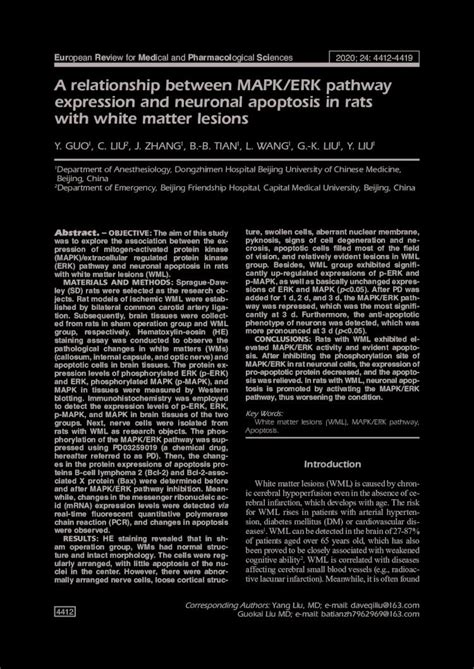 Pdf A Relationship Between Mapkerk Pathway Expression And · 2020