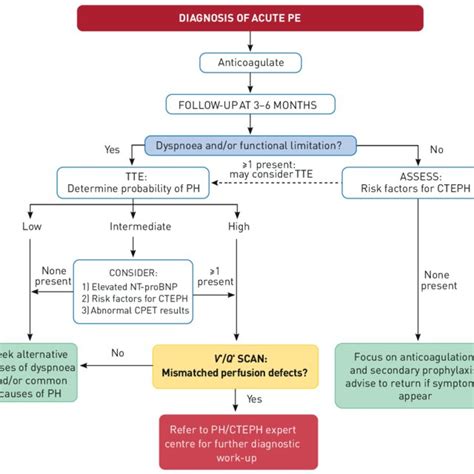Diagnostic Work Up And Management Of Suspected Pulmonary Embolism Pe