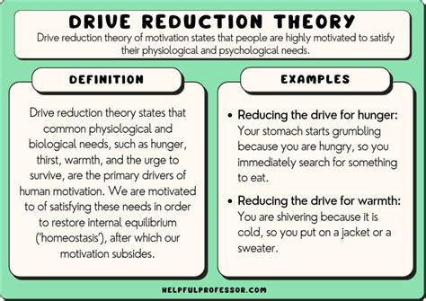 Drive Theory