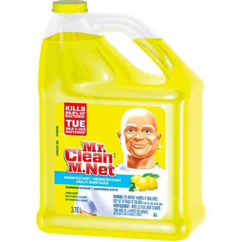 Mr Clean Antibacterial Multi Surface Cleaner Summer Citrus Sds At Craig