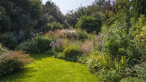 When Is The Best Time To Spray Weed Killer Homes And Gardens