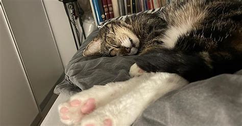 Those Pink Toe Beans Of My 18 Years Young Guy Love The View Album On Imgur