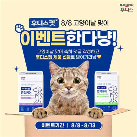 일동후디스 ‘세계 고양이의 날 맞아 반려묘 건강 챙긴다후디스펫 이벤트