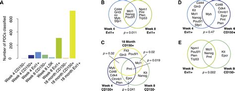Machine Learning Of Hematopoietic Stem Cell Divisions From Paired Daughter Cell Expression