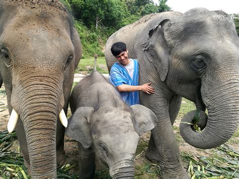 Tanner Talan Thailand School Of Veterinary Medicine