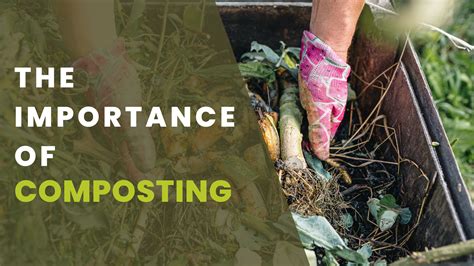 The Importance Of Composting