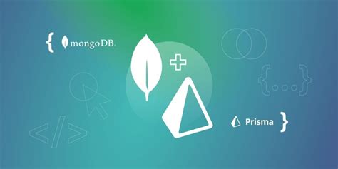 query a mongodb database with prisma and railway r devto