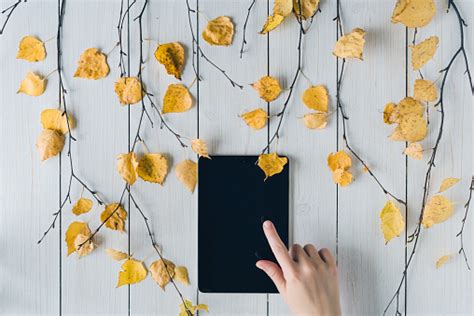 흰색 복고풍 나무 보드에 노란색 잎과 태블릿 자작 나무 가지와 여자 배경 가을 가을 컨셉 플랫 레이 상단 보기 10월에 대한 스톡 사진 및 기타 이미지 Istock