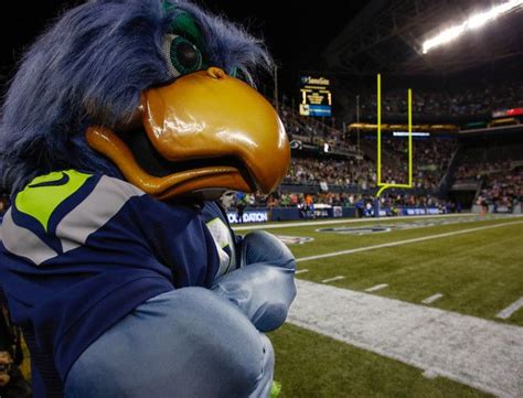 1000 Images About Seattle Seahawks Mascot Blitz On Pinterest