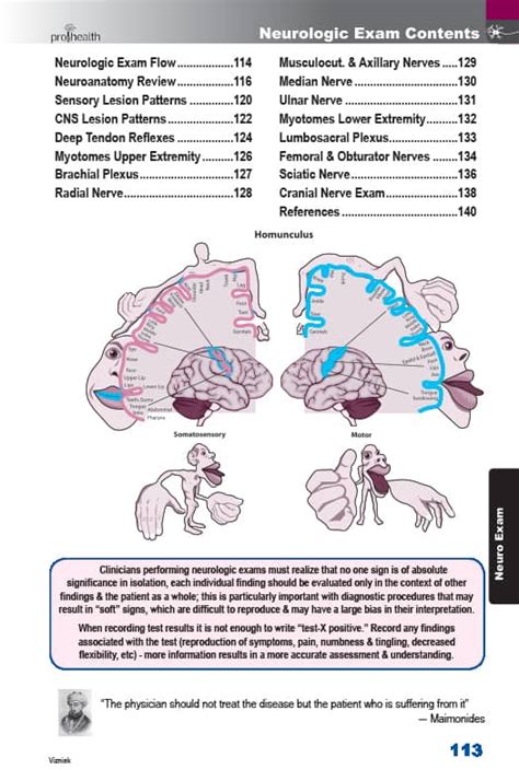 Clinical Massage Textbook Prohealthsys