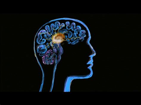 Human Brain Neuron Activity Watercolor 2d Animation By Retro Vectors