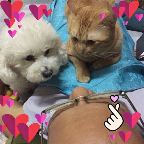 The Publisher ทัวร์ลงฉ่ำหลังพรรคประชาชน จี้ รพ สรรพสิทธิประสงค์ ยกเลิกนโยบายผู้ป่วยกัมพูชา