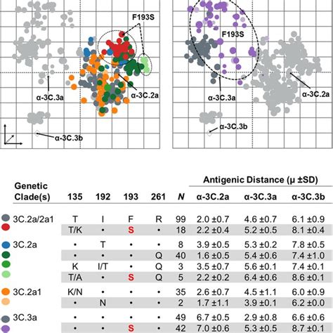 Modelling Antigenic Trends In The Ah3n2 Virus Hint Landscape Genetic