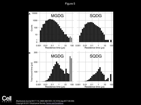 Prediction Of Thylakoid Lipid Binding Sites On Photosystem Ii Ppt